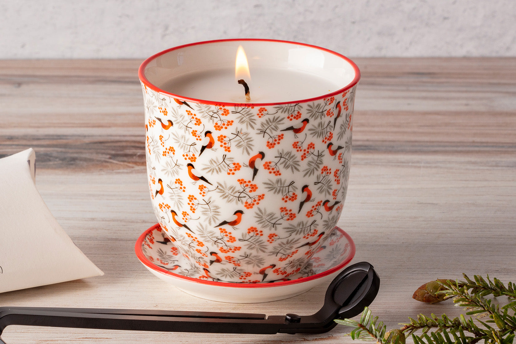 Liberte Pot Candles - Colorful Candles for Home Decor | Prosperity Candle
