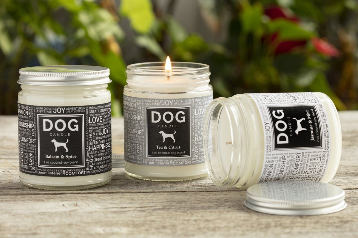 Dog Candles - Sustainable Dog Odor Eliminator Candles | Prosperity Candle